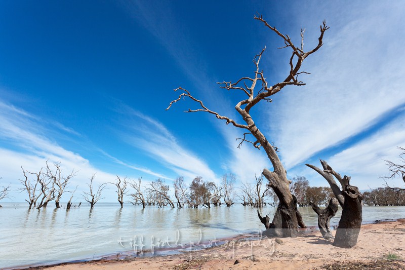Tiff Firth: Menindee Lakes